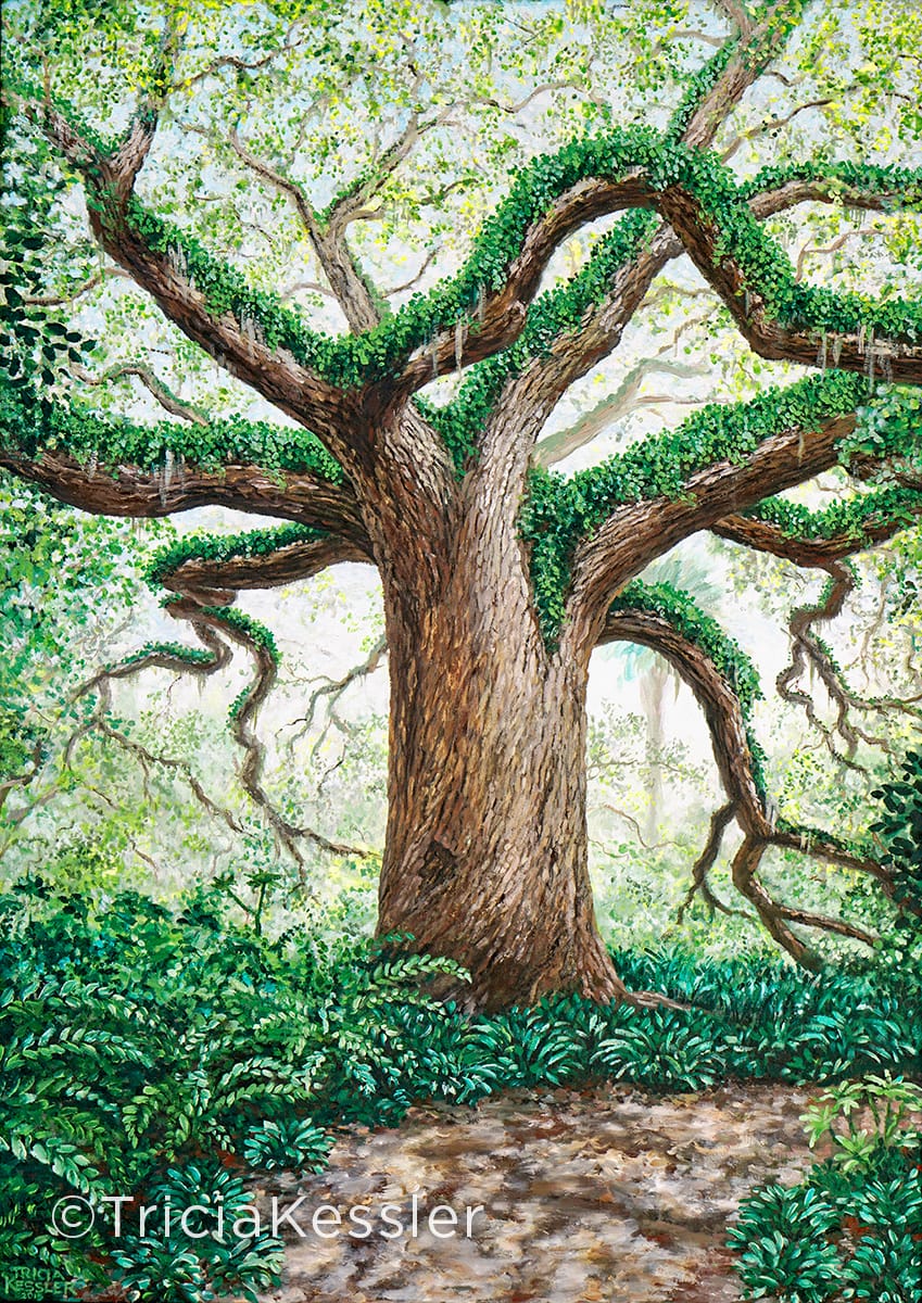 Tree Captures | Unique Tree & Leaf Prints by Tricia Kessler ...